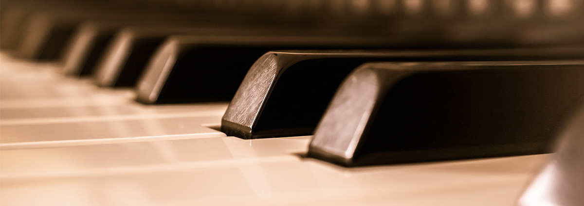 Organ & Keyboard Club | Marldon Village Hall